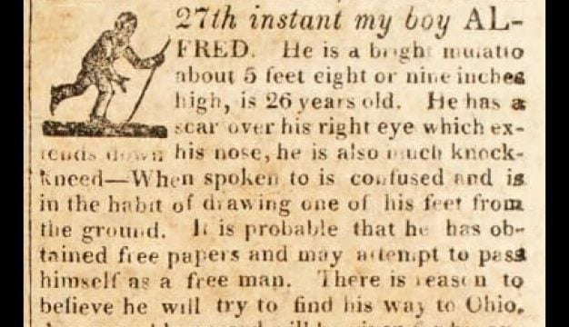 Hydrarchos Advertisement - Encyclopedia of Alabama