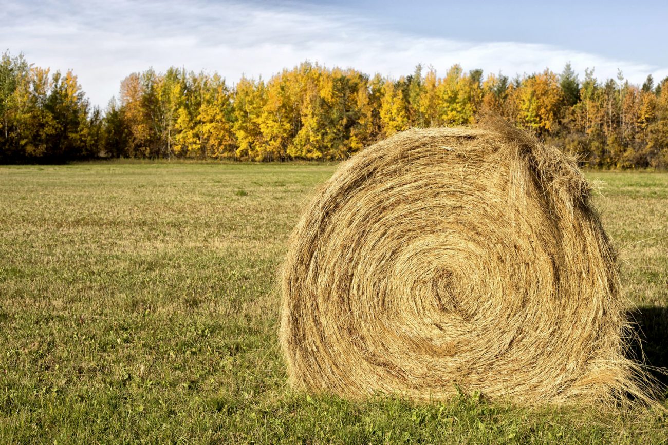 Hay Bale - Encyclopedia of Alabama
