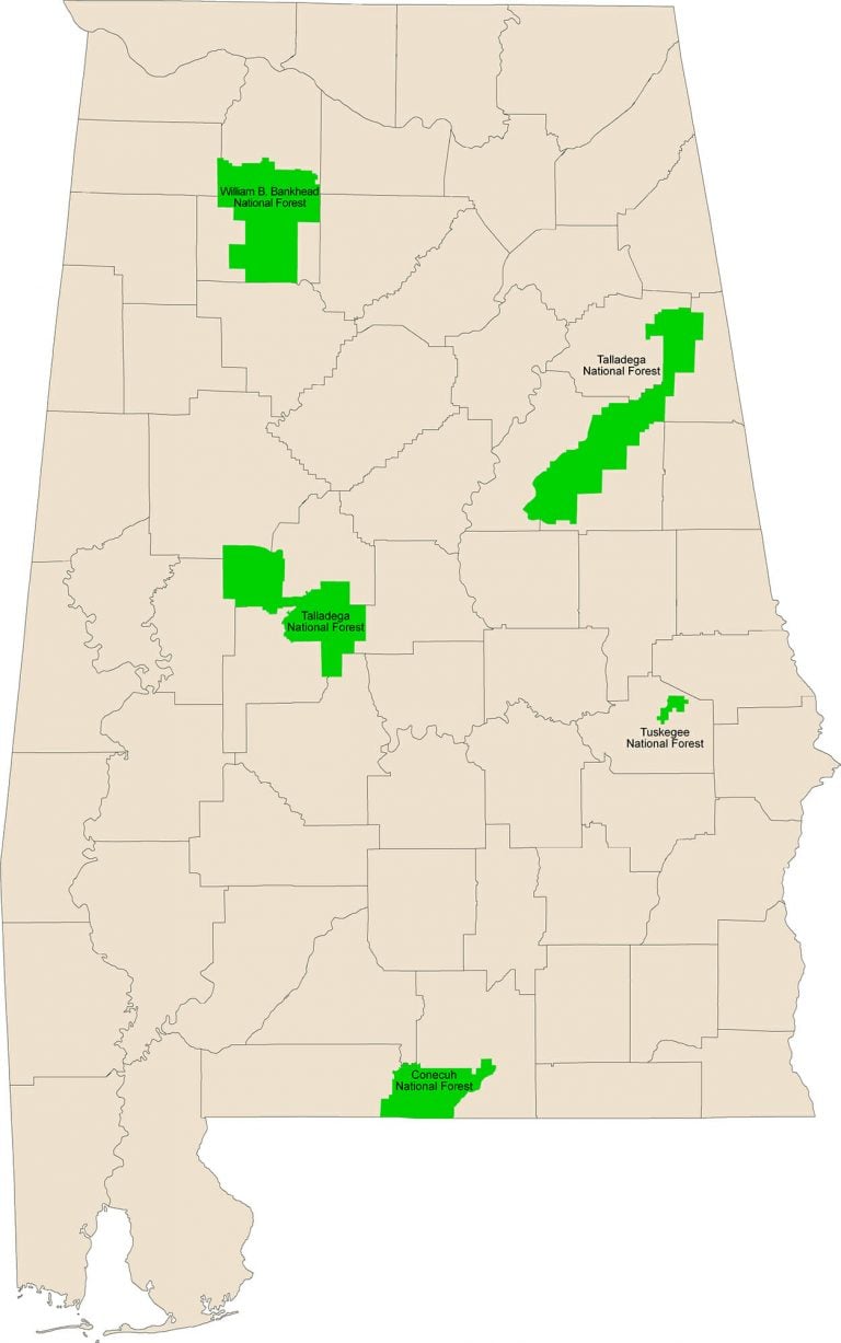 National Forests of Alabama - Encyclopedia of Alabama