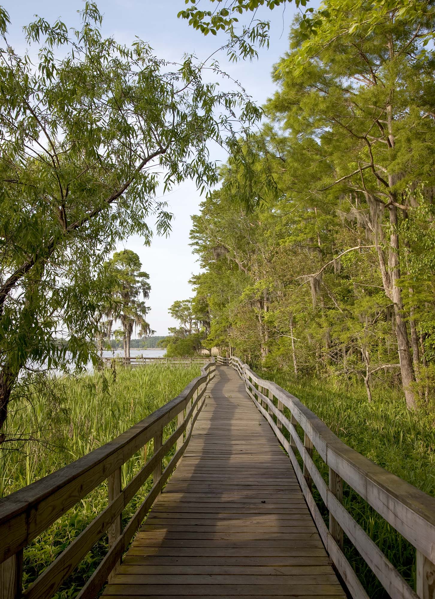 Historic Blakeley State Park - Encyclopedia of Alabama