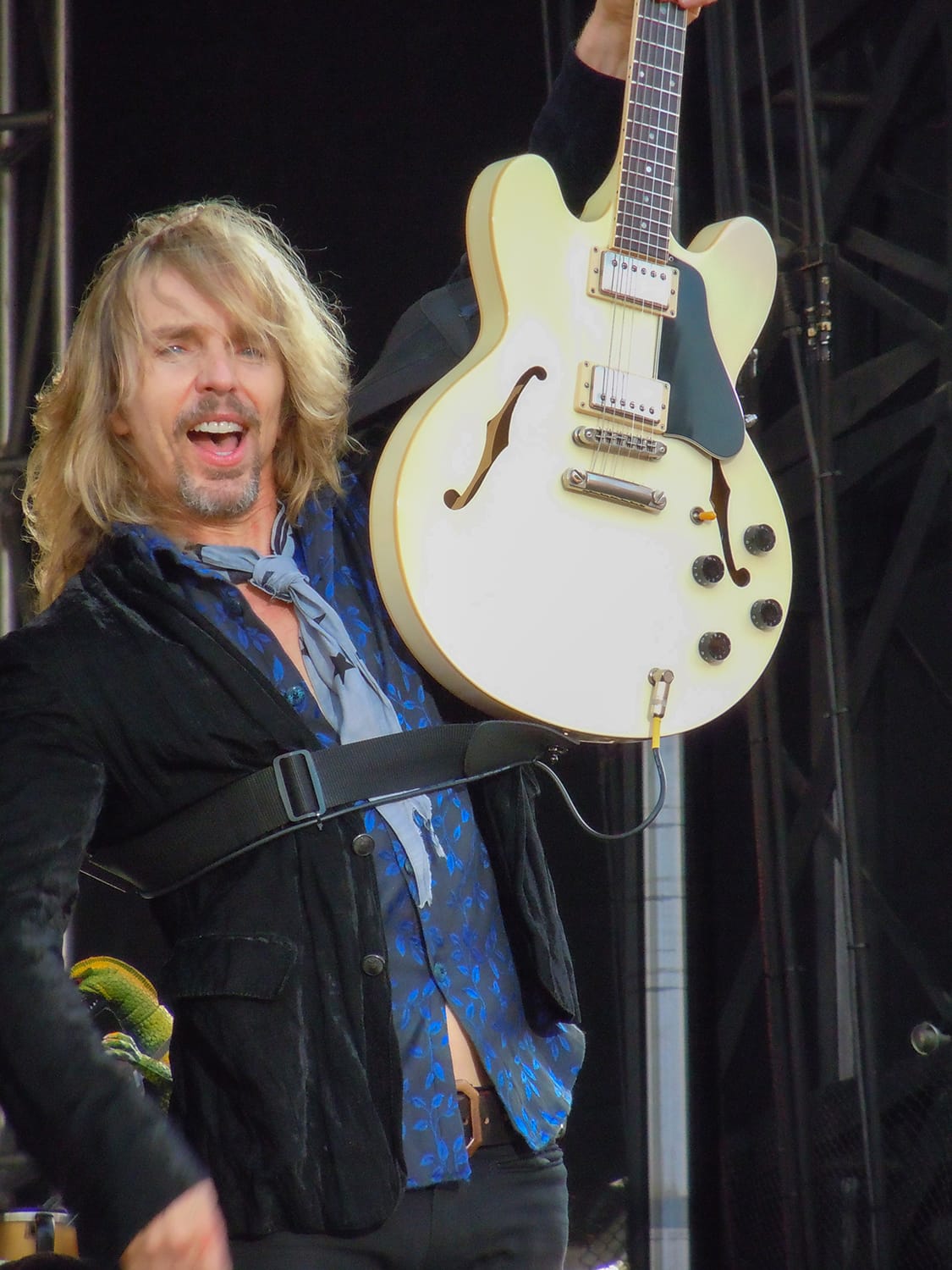 Tommy Shaw Guitar Collection